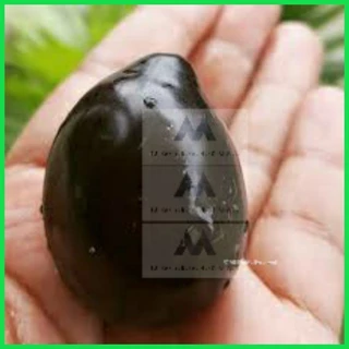 Shop lomboy for Sale on Shopee Philippines