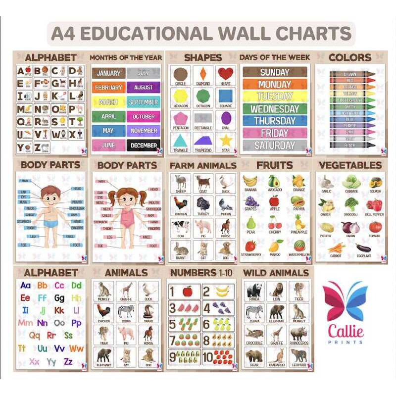 A4 Laminated Educational Posters Makapal|Alphabets,Numbers,Days, Months ...