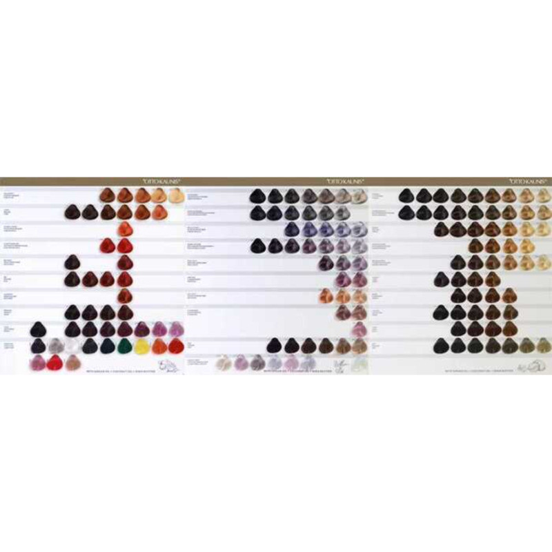 152 Colors Professional Mixing Chart for Hair Swatch Color Choosing ...