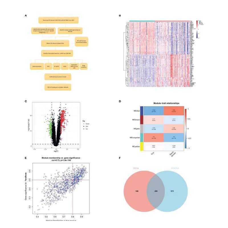 Meta Stata RevMan SAS Software Analysis Forest Plot Network | Shopee ...