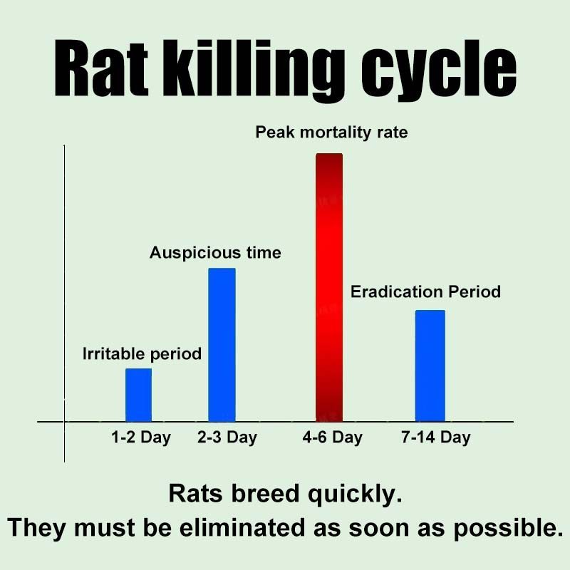 1000g Rats die outdoors dry and odorless rat killer poison rat poison ...