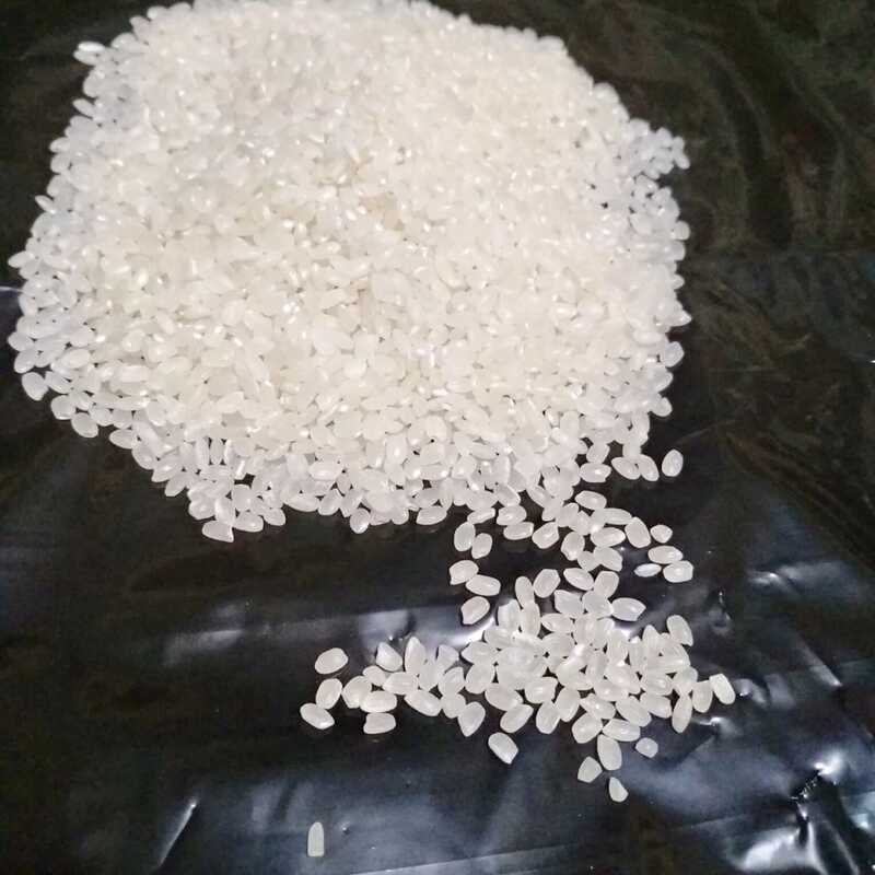 Rice 25Kg Japanese King Crab / Bigas 384 6E2 / | Shopee Philippines