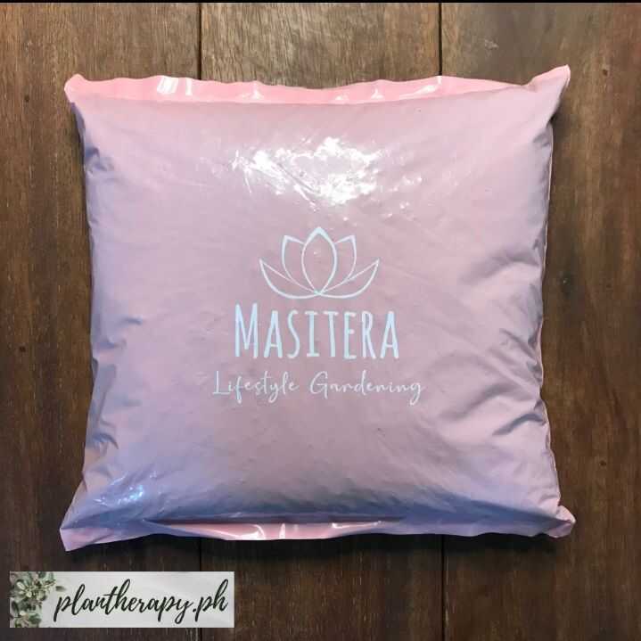Soil 1KG MASITERA Mix - Best for Cactus and Succulents 3 - | Shopee ...