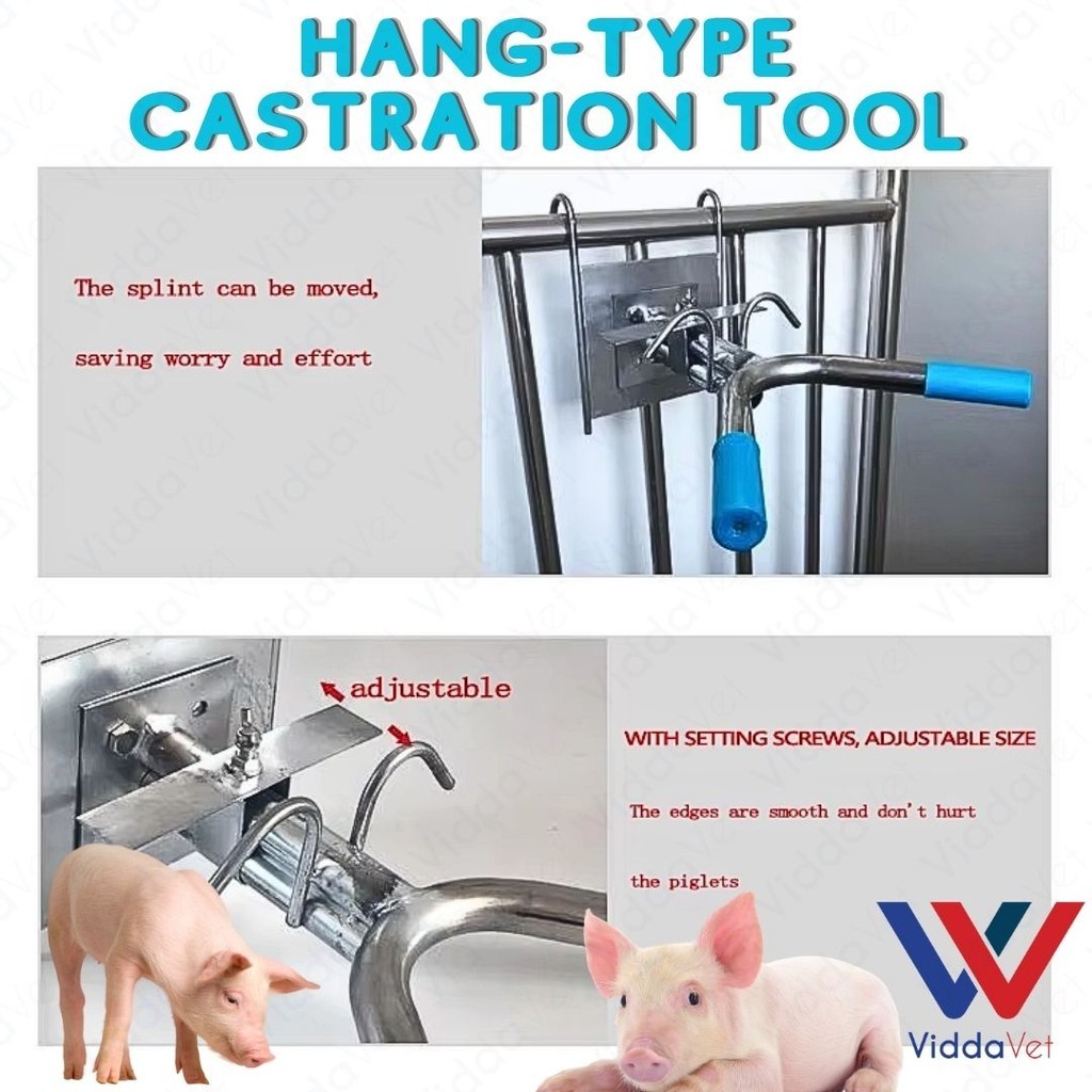 Stainless Steel Piglet Support Rack for Farrowing Crate Use | Shopee Philippines
