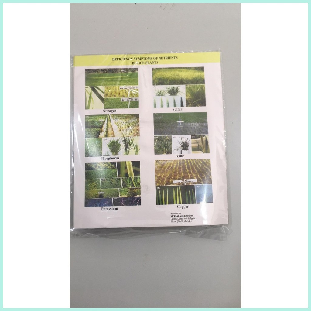 MOET Kit Minus One Element Technique Kit | Shopee Philippines