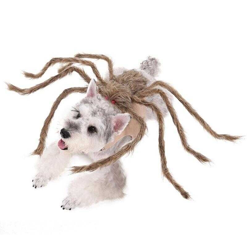 Tt Cats Dog Funny Spiders Cosplay Animal Arachnid Soft Comfortable ...