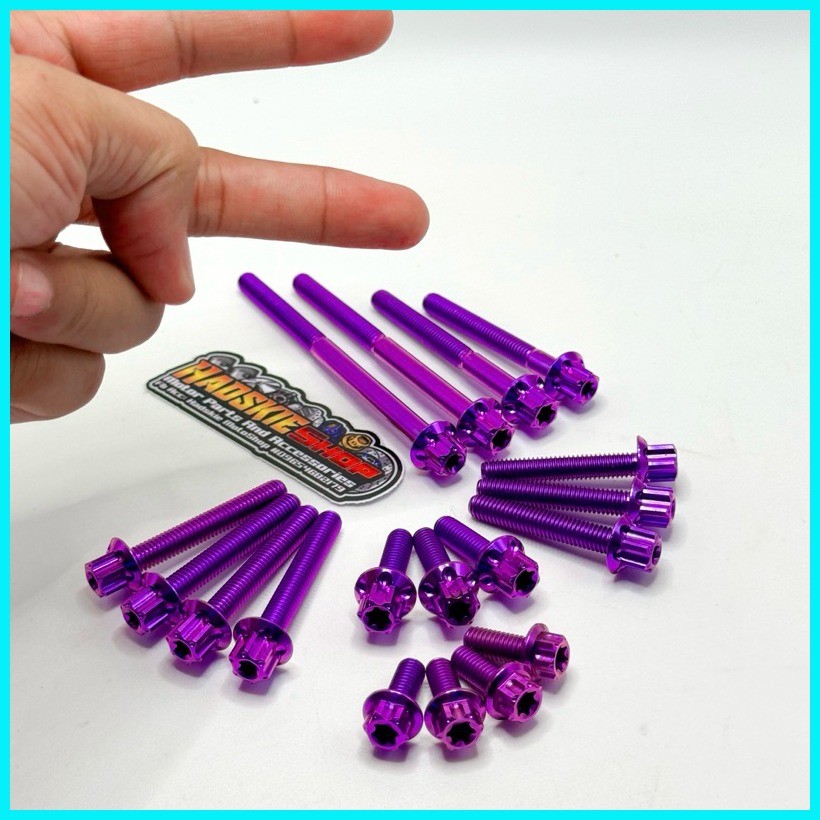 REAL TITANIUM GR5 HONDA WAVE 100/110 CRANKCASE BOLTS SET (18pcs set ...