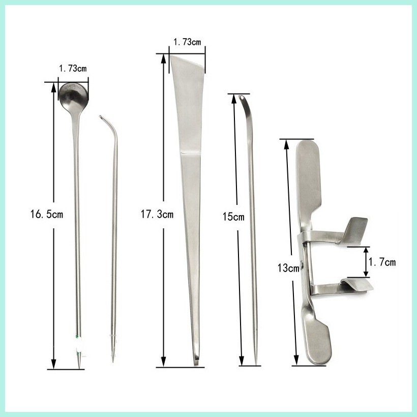 5Pcs Stainless Castration Chicken Capon Tools Farm Cock Rooster ...