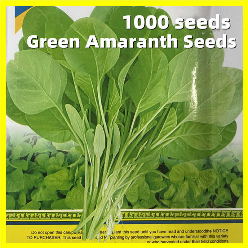 - 1000 Local Spinach Green Leaves Easy To Grow In The Philippines ...