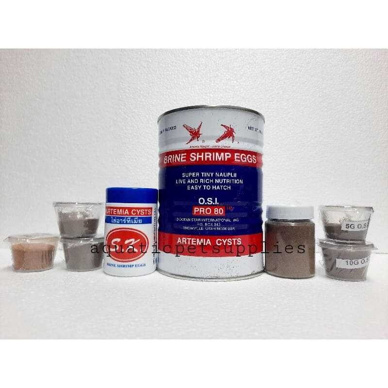 Bbs, HATCHEABLE BRINE Shrimp, PROTEIN FOR FRY AND Breeders, FISH FOOD ...