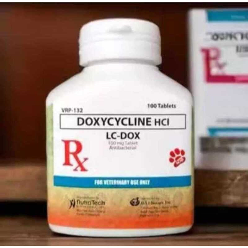 Lc-Dox Tablet: Doxycycline 3 | Shopee Philippines