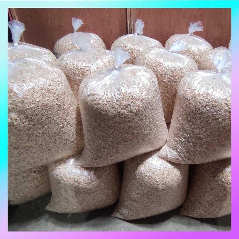 1Kg Kusot Per Kilo From Palochina BISTAY Hindi Bitin Sa Timbang Hamster ...