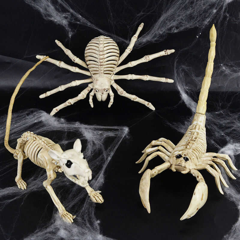 Horror Bat Spider Skeleton Movable Animal Bones Model For Halloween ...