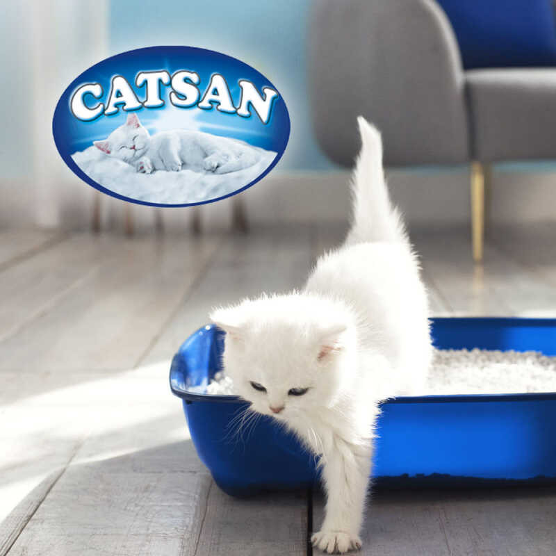 CATSAN Clumping Cat Litter Sand For Cats Oll Ages 5L | Shopee Philippines