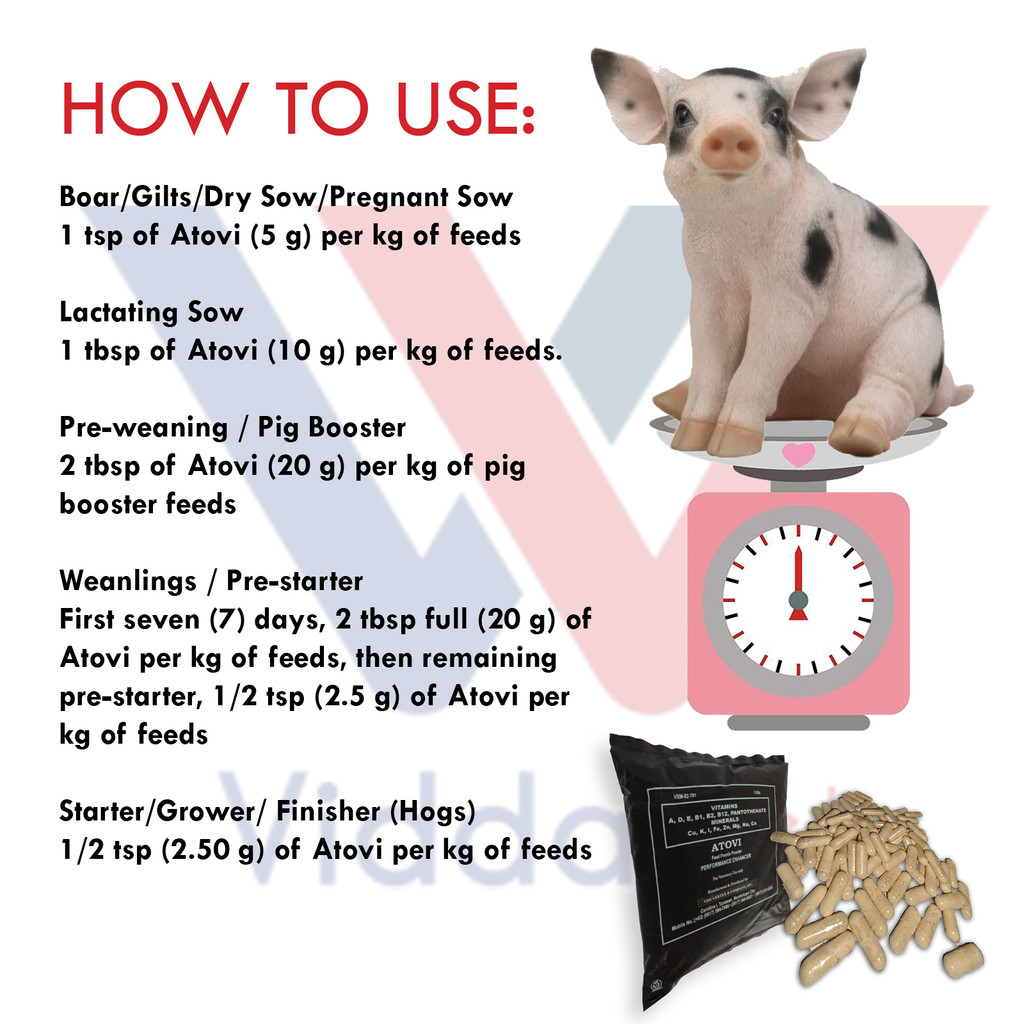 ATOVI Powder Atovi nanotechnology for livestock swine small animal pets ...