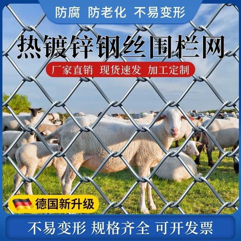 Hot-Dip Galvanized Anti-Rust Iron Breeding Circle Cow Sheep Steel Wire ...