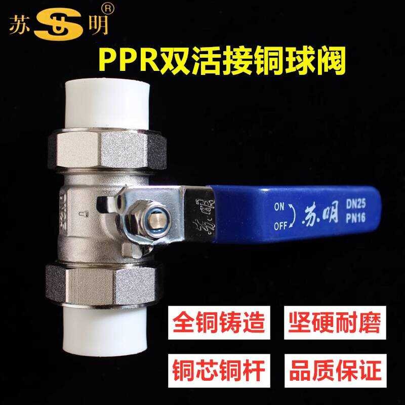 Suming PPR Double Union Brass Water Pipe Fittings Welding Hot Melt 20 ...