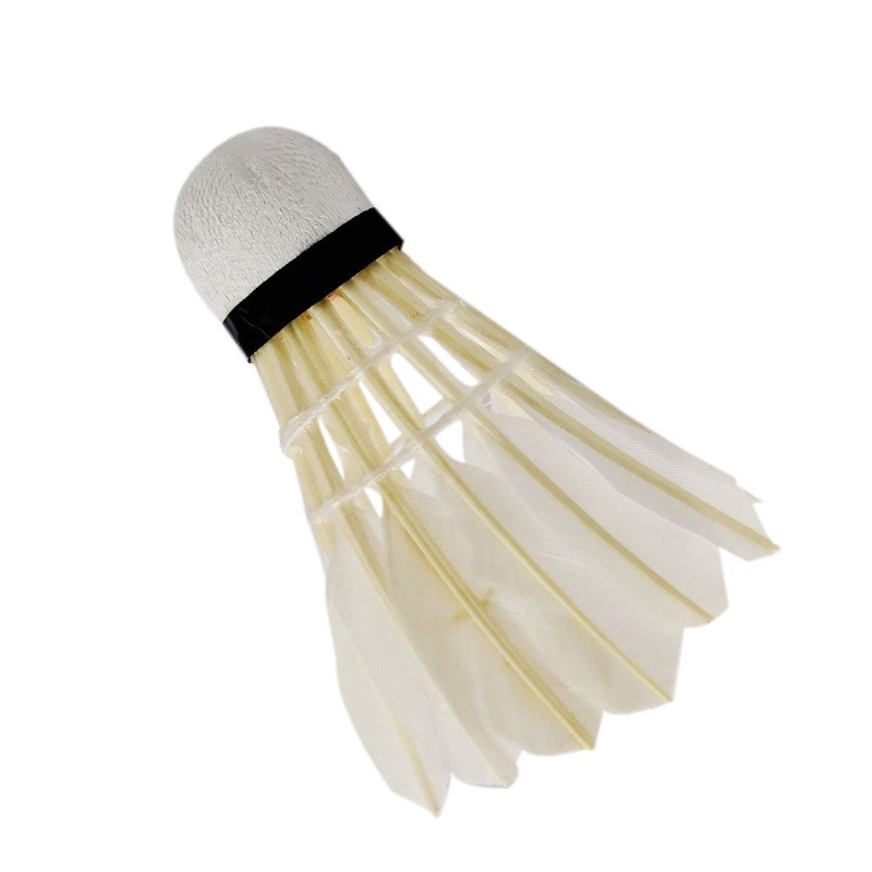 Pioneer Badminton Feather Shuttlecock Platinum Tube (6pcs inside ...