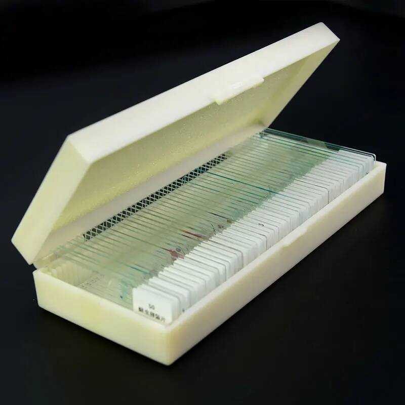 Glass Prepared Slides Biological Microscope Slides Specimen Slides for ...