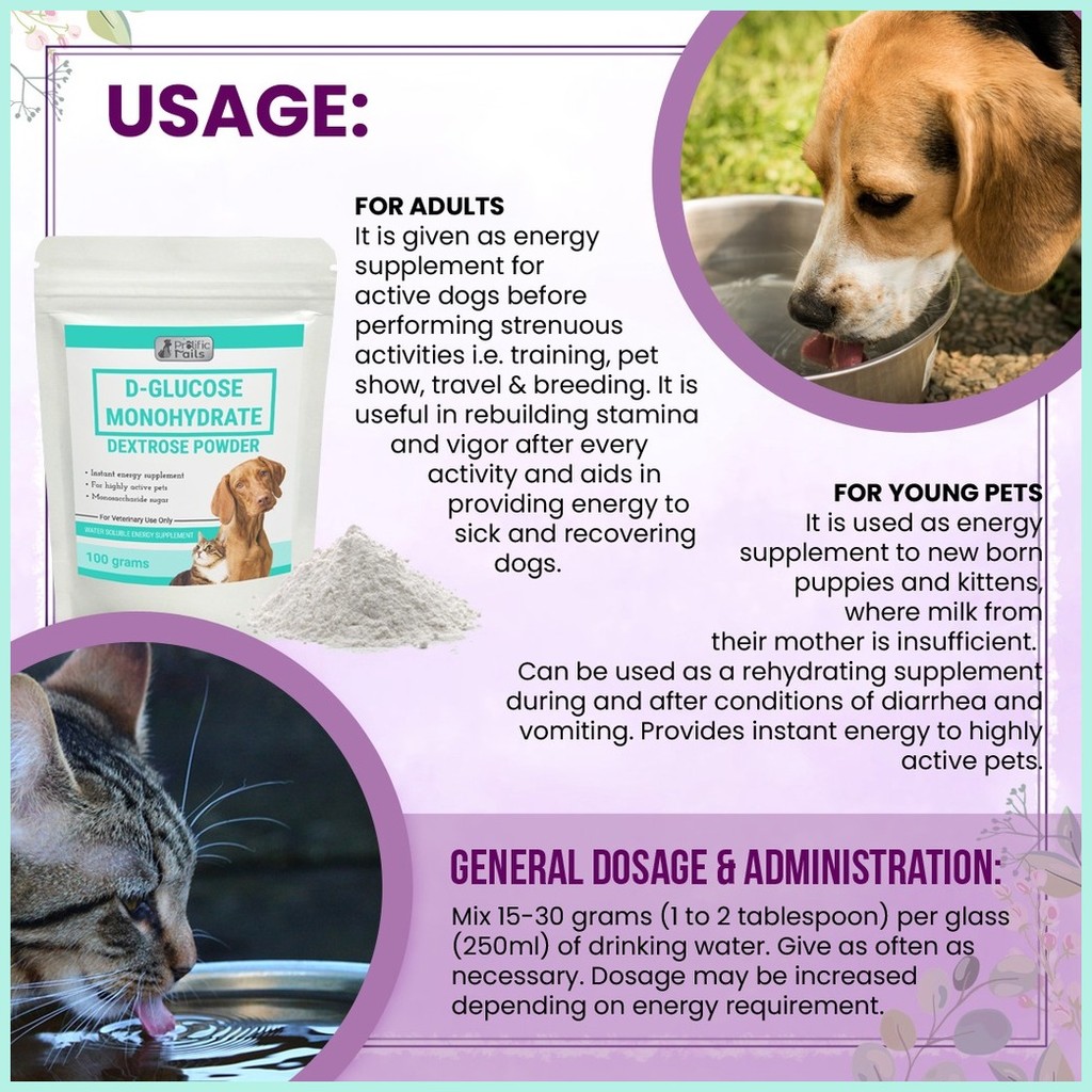 1 Liter Prolific Specialized Madre de Cacao Shampoo 3 in 1 FREE ...