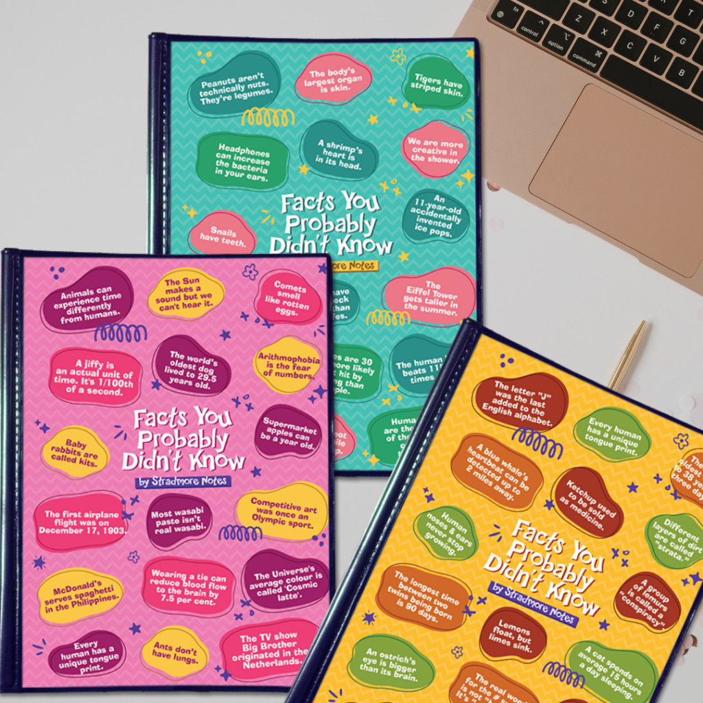 Stradmore 2024 SayWhat Wirepin Zipbook Binder Notebook | Shopee Philippines