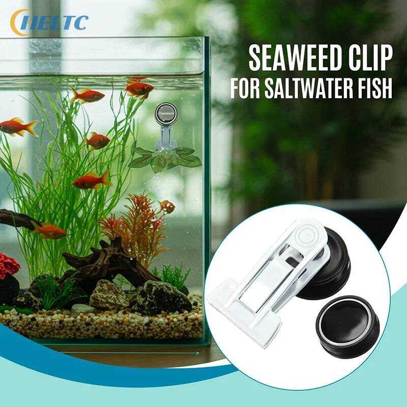 Magnetic Seaweed Feeding Clips Saltwater Aquarium Tank Accessories ...