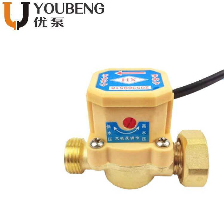 New Water Flow Booster Pump Automatic Switch Two Heads 4 Points 220V ...