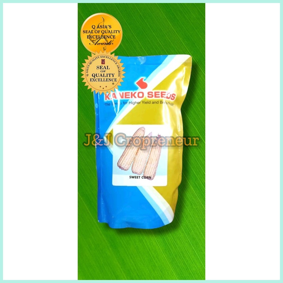 SWEET CORN SEEDS / SWEETCORN OPV SEEDS 500 GRAMS (KANEKO SEEDS) | Shopee Philippines