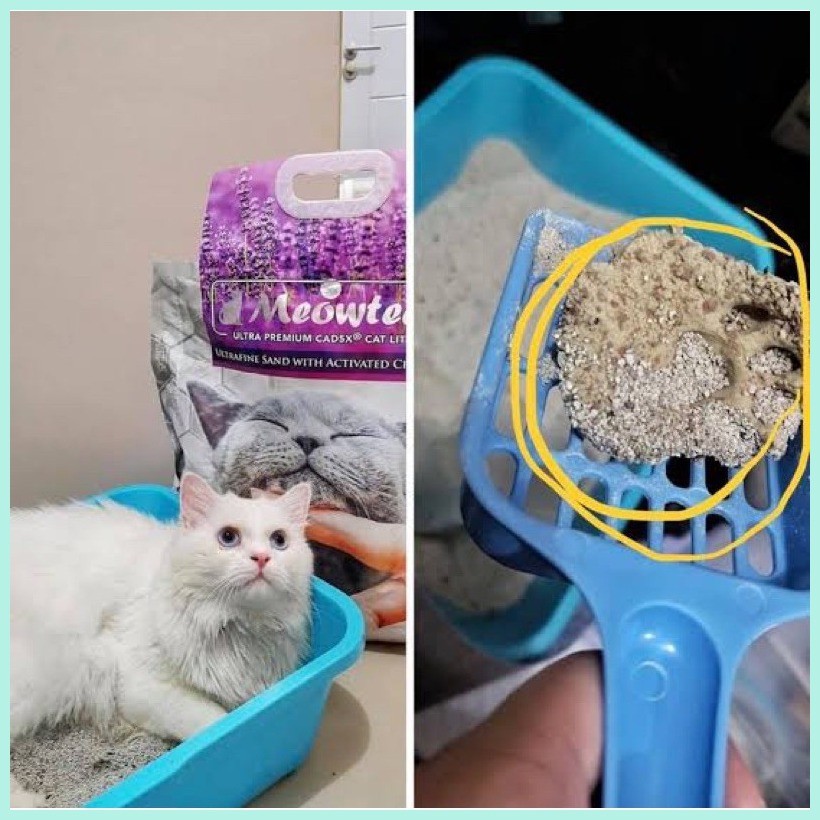 12.18L Meowtech Cat Litter Sand with Activated Charcoal low dust ...