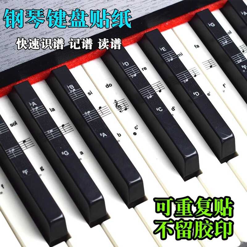 Piano Key Electronic Keyboard Hand Roll Universal Staff Notation Self ...