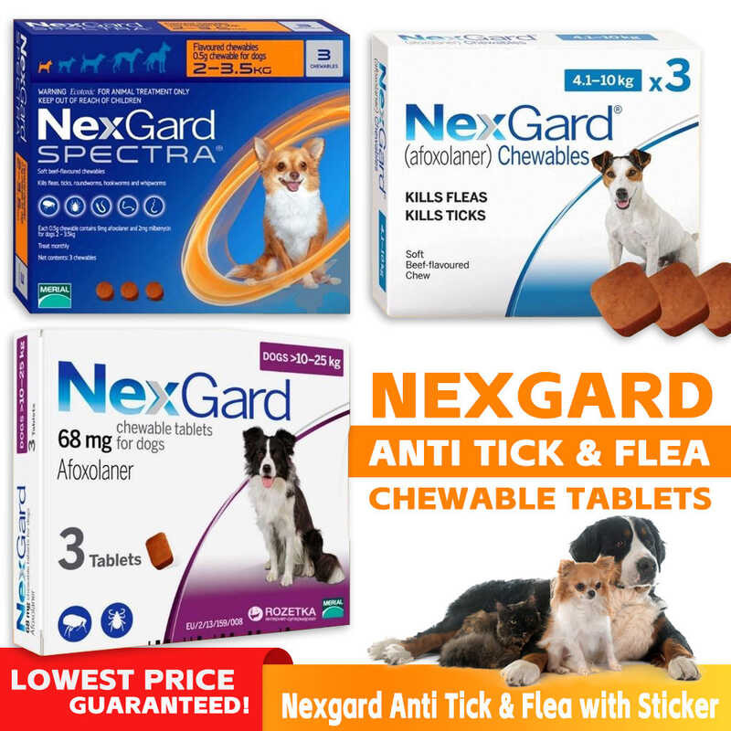 Nexgard Chewable Tablet Anti Ticks Fleas For Dogs And Puppies F44 ...