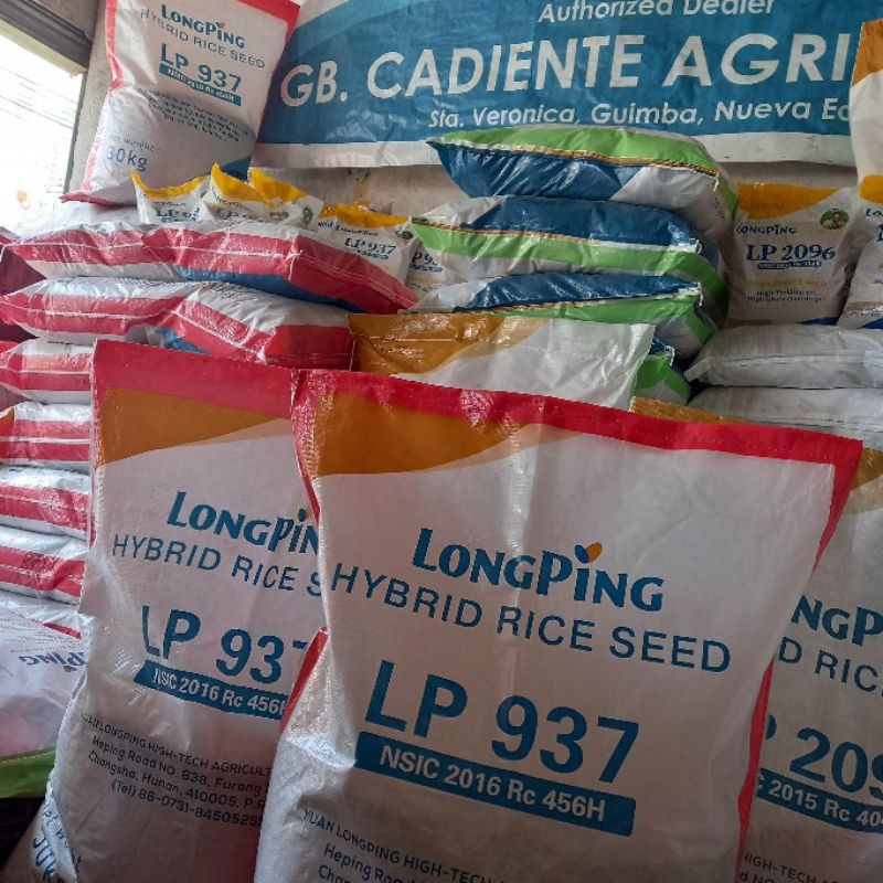 3kg LongPing Hybrid Rice Seeds | 937 | 2096 | 534 | New Packaging 2023 ...