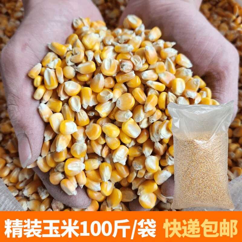 Kernels Chicken Feed Corn Grind for Feeding Chickens, Ducks, and Geese ...