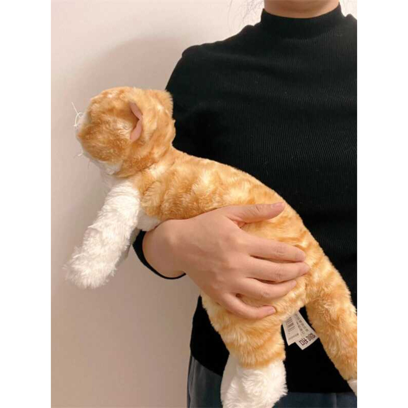 Authentic Set Dudu Realistic Cat Plush Toy Cute Realistic Cat Doll Baby ...