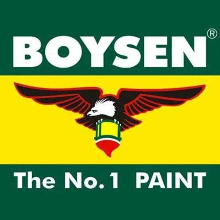Boysen Acrylic Emulsion Clear Gloss B-700 - 4 Liters | Shopee Philippines