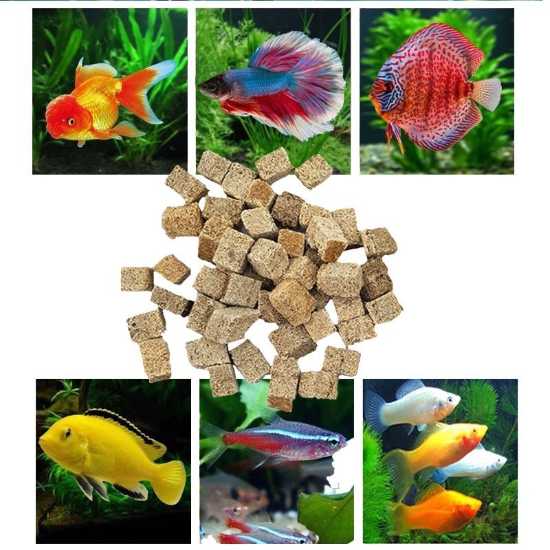 Freeze-Dried Brine Shrimp Block Brine Worm Block Antarctic Krill Dried ...