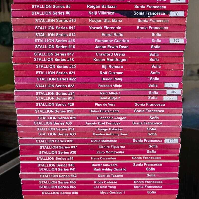 Stallion Riding Club Revisited Island PHR Sofia Sonia Francesca All ...