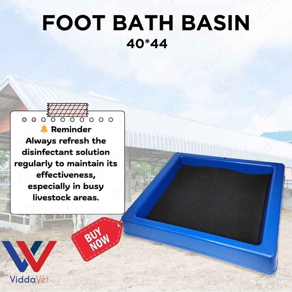 Foot Bath Basin with foam for sanitizing footwear and maintaining ...