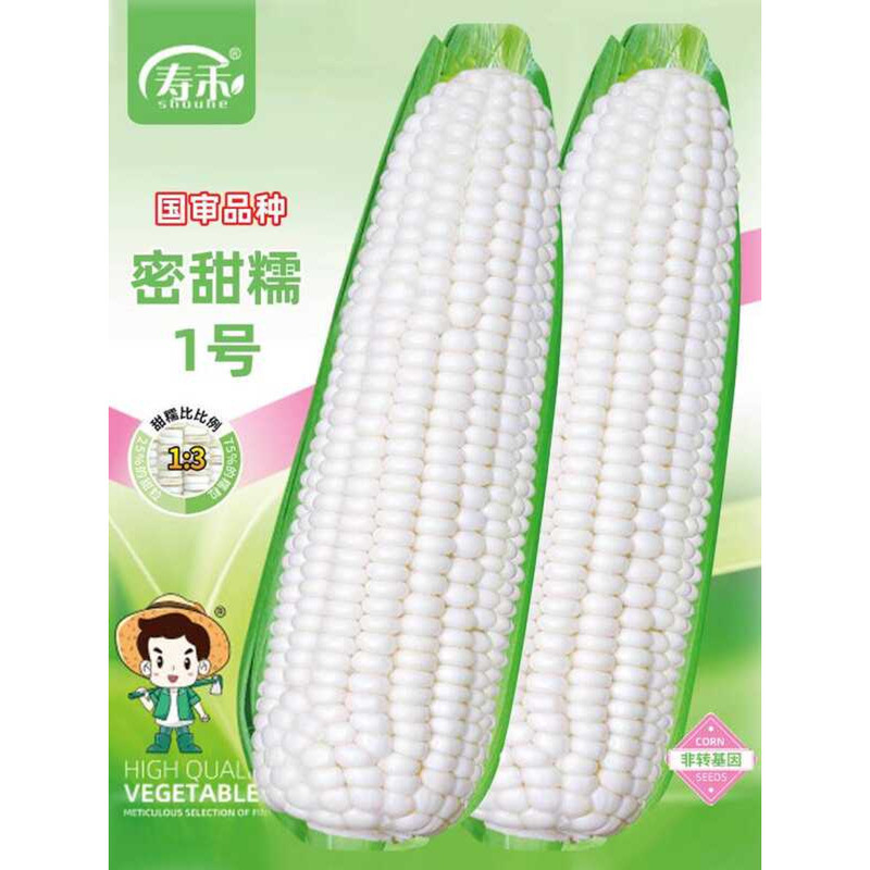 Fruit Corn Seeds High Yield Super Sweet White Glutinous Complete ...
