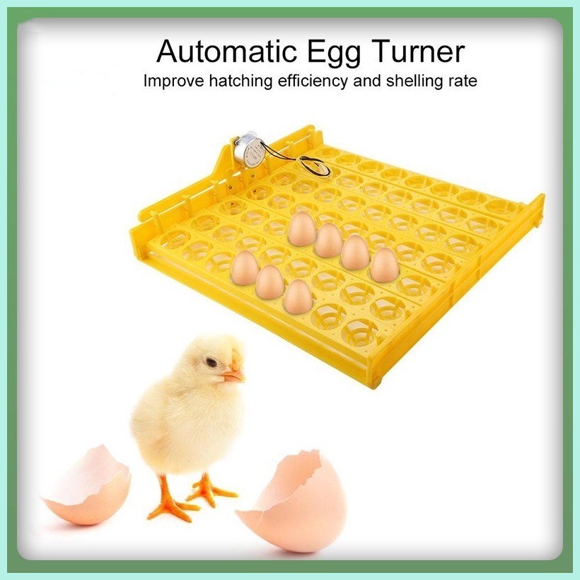 Automatic Egg Incubator 56 Eggs Turner Tray Chicken Quail Duck With ...