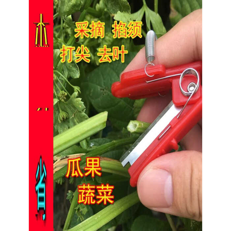 Thumb Leaf Vegetable Tool Picking Small Guillotine Cucumber Bean Grape ...