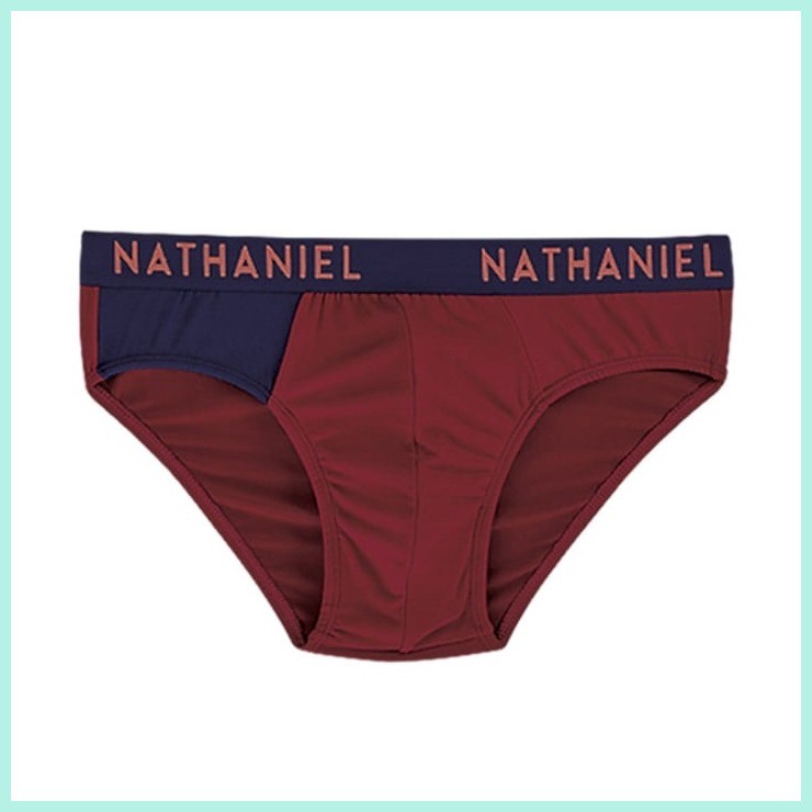 Natasha Nathaniel Gauge Men's 5-IN-1 Brief Pack | Shopee Philippines