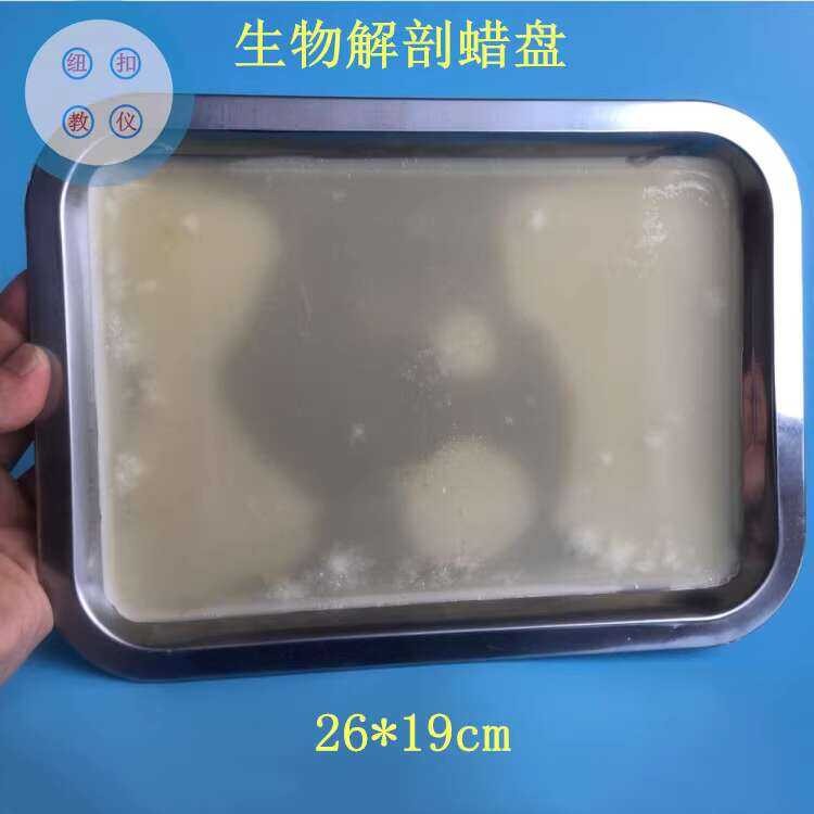 Biological Dissection Wax 19*26cm Stainless Steel Tray Junior High ...