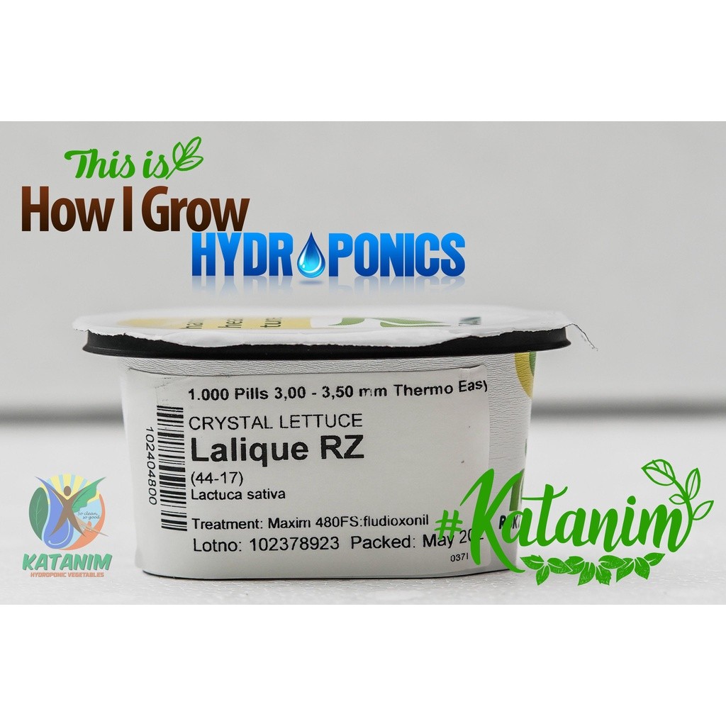 LALIQUE RZ Rijk Zwaan Seeds 1 TUB / 1000 seeds - Crystal Lettuce ...