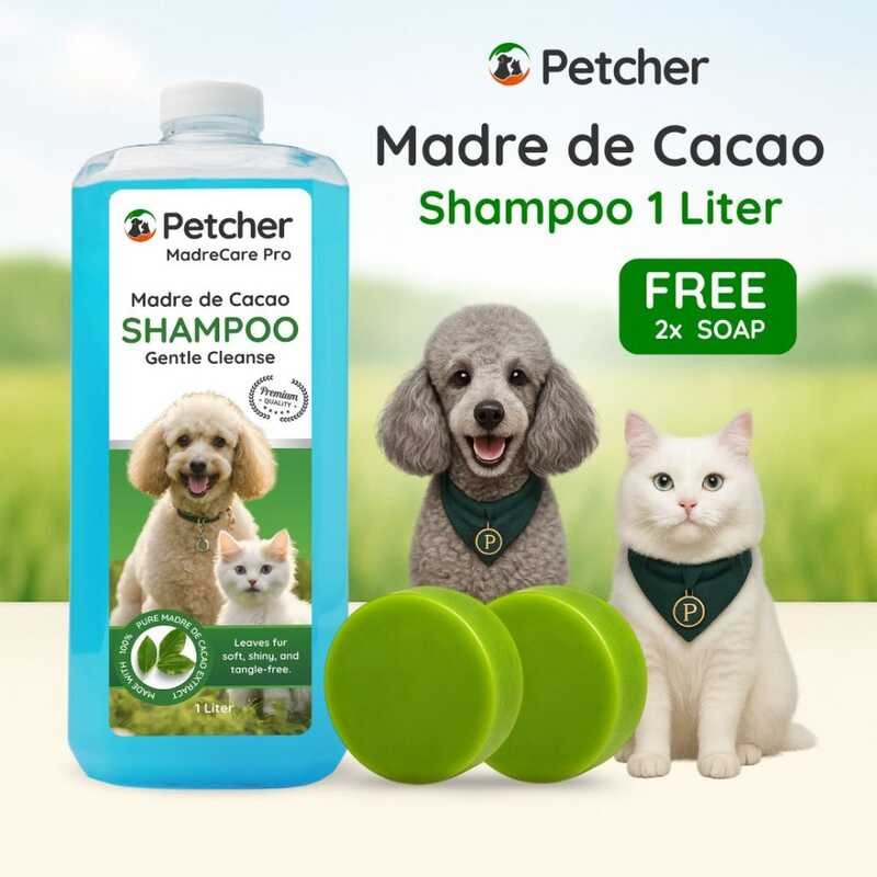 3F6 Madre De Cacao Pet Shampoo 1 Liter Bubble Gum Scent With Round Soap ...