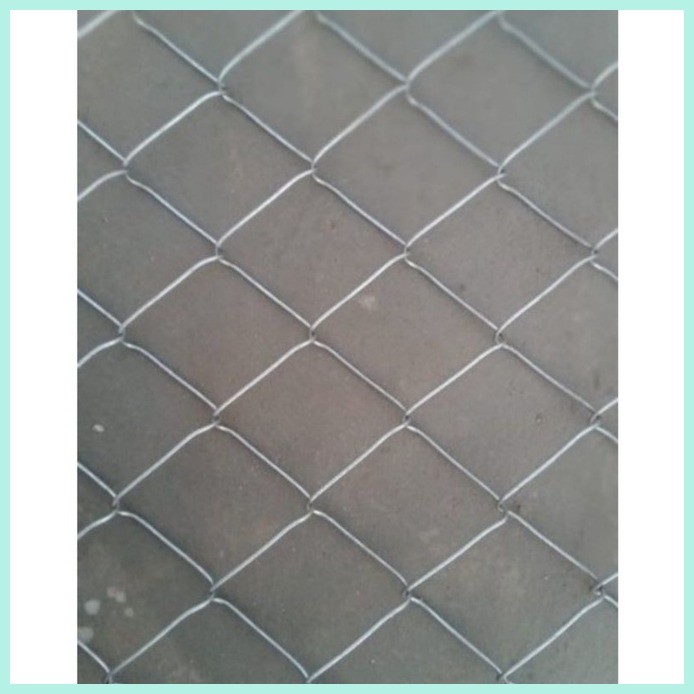 Cyclone Wire 2" x 2" hole Gauge 14 | Shopee Philippines