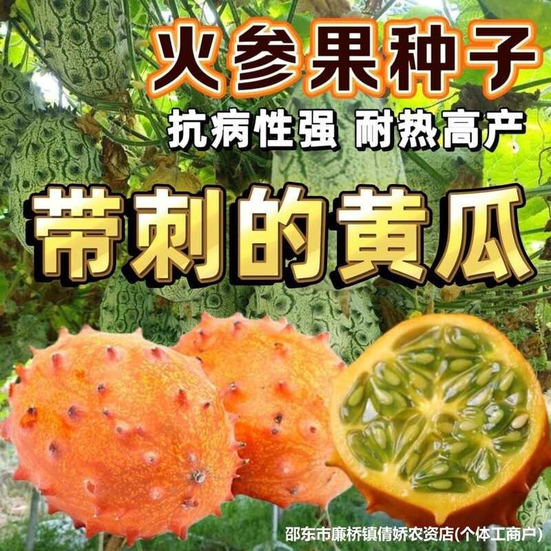Complete Collection of Fire Ginseng Fruit Seeds Mars Fruit Sea Cucumber ...