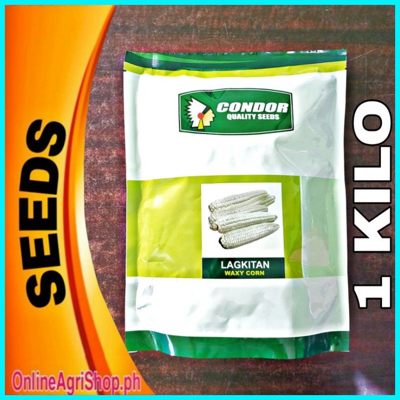 CONDOR SEEDS - WAXY CORN SEEDS - LAGKITAN CORN SEEDS - 1 KILO | Shopee ...