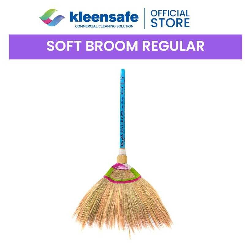 Kleensafe Soft Broom Baguio Regular Walis Tambo Plastic-Coated Wooden ...