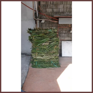 Shop pawid for Sale on Shopee Philippines